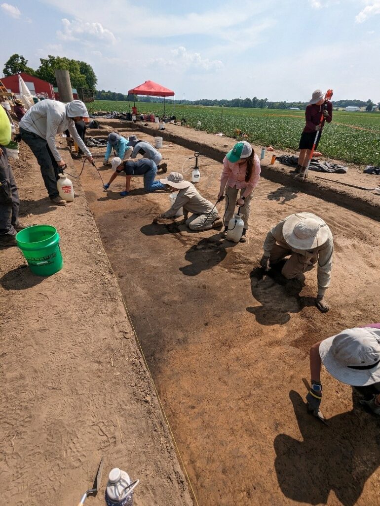 Archaeology - Anthropology