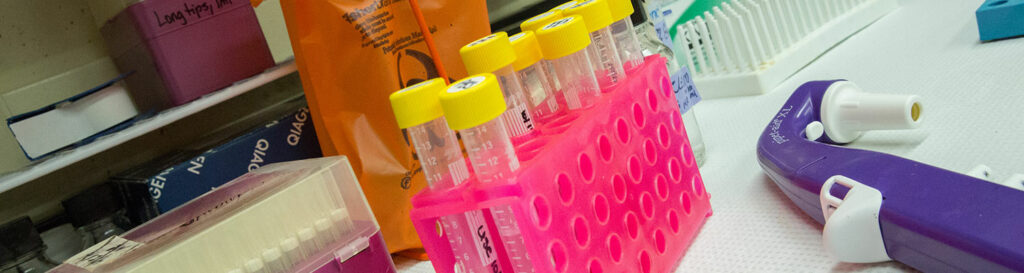Biomedical Sciences Health Sciences School Of Biomedical Sciences