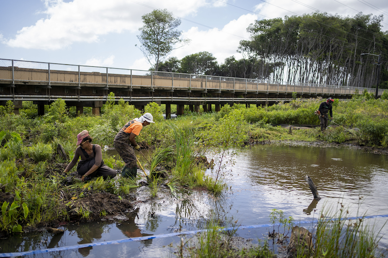 Columbia Journal of Environmental Law Published “Navigating Rough ...