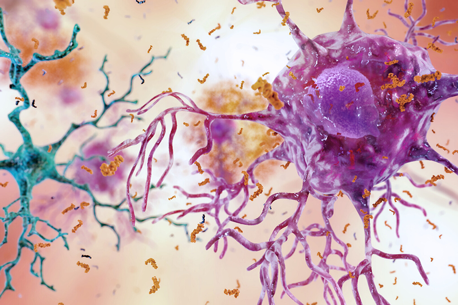 neuro – Letters & Science