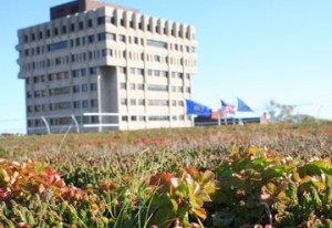 Golda Meir Library gets a green lid