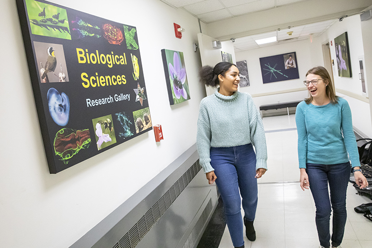 Hallway gallery shows off the beauty of biology