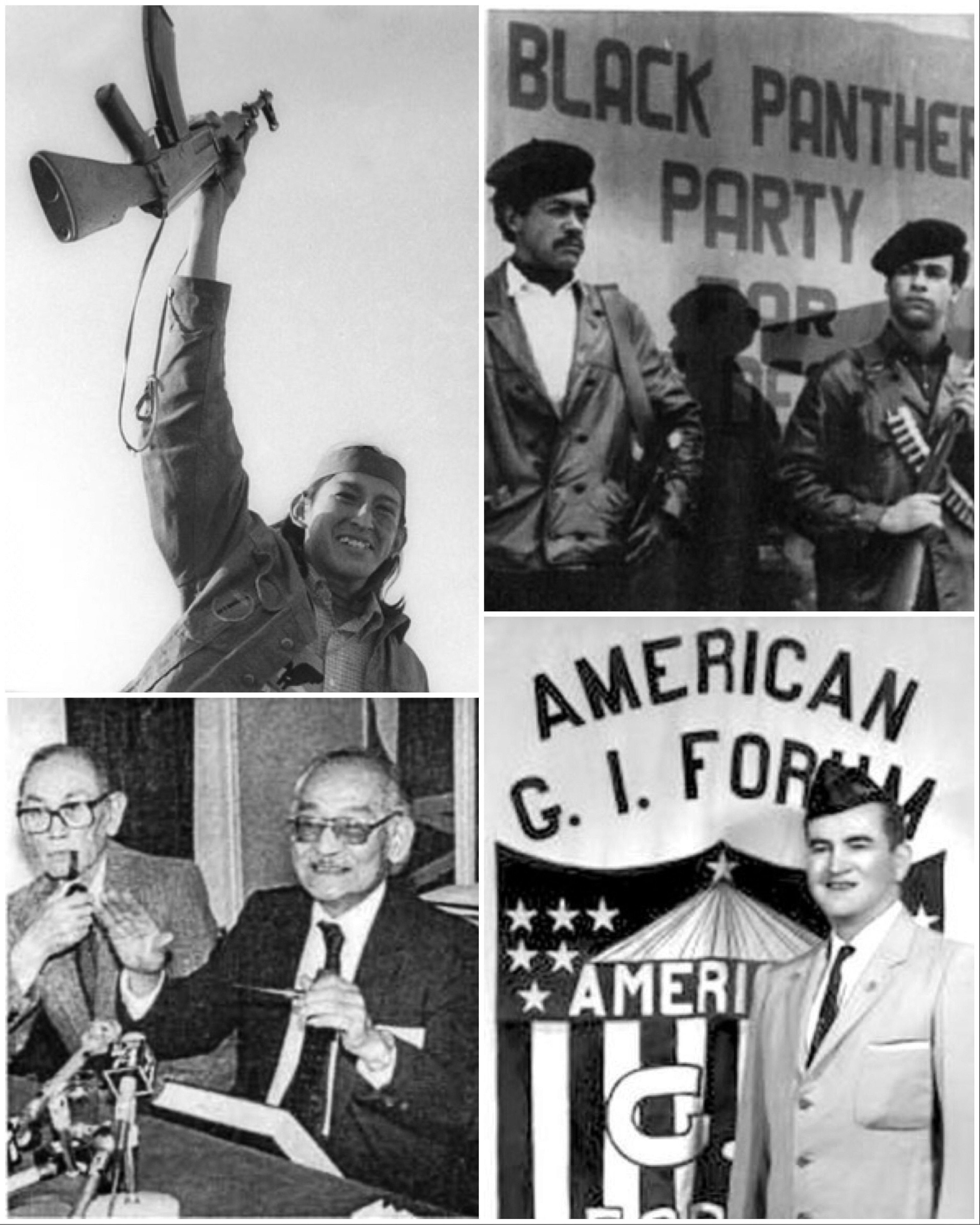 Multicultural America: Black, Brown, Yellow, and Red Freedom Movements ...